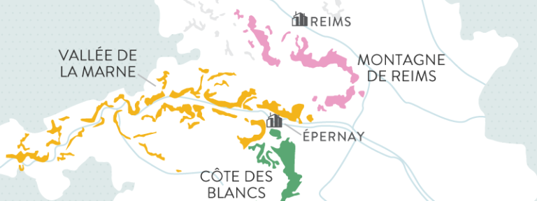 Wines of Champagne (France) - IHMNOTESSITE