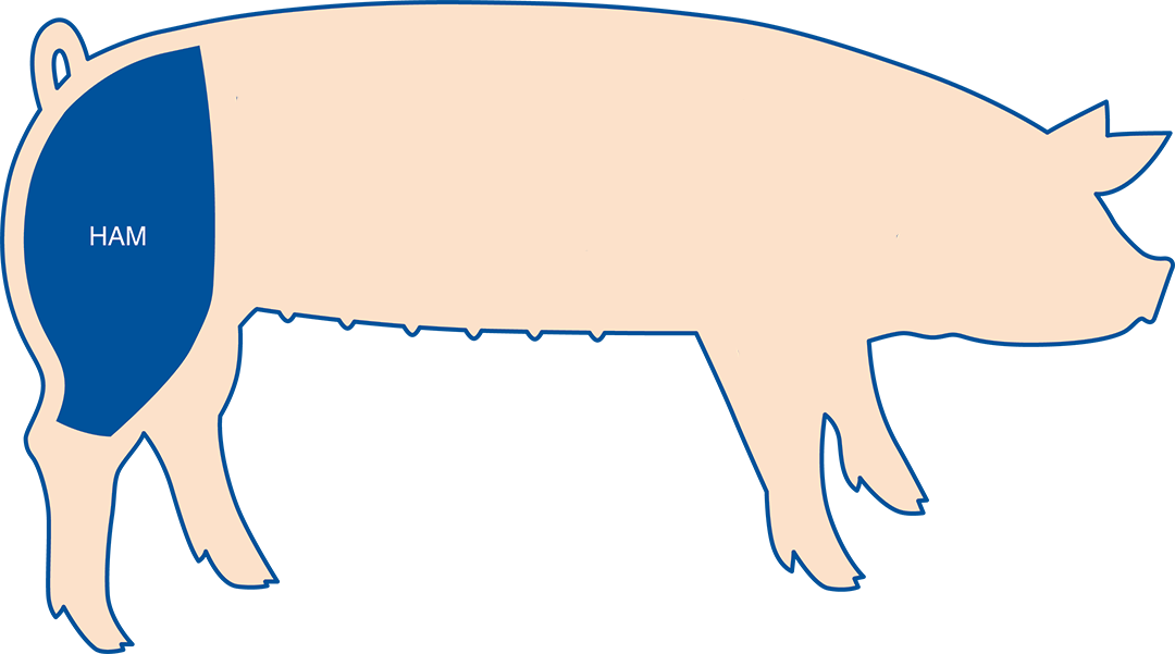 CUTS OF HAM & USES - IHMNOTESSITE